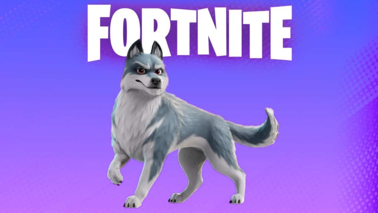 How to Get Remus Sidekick for free in Fortnite - hogatoga – Hoga Toga